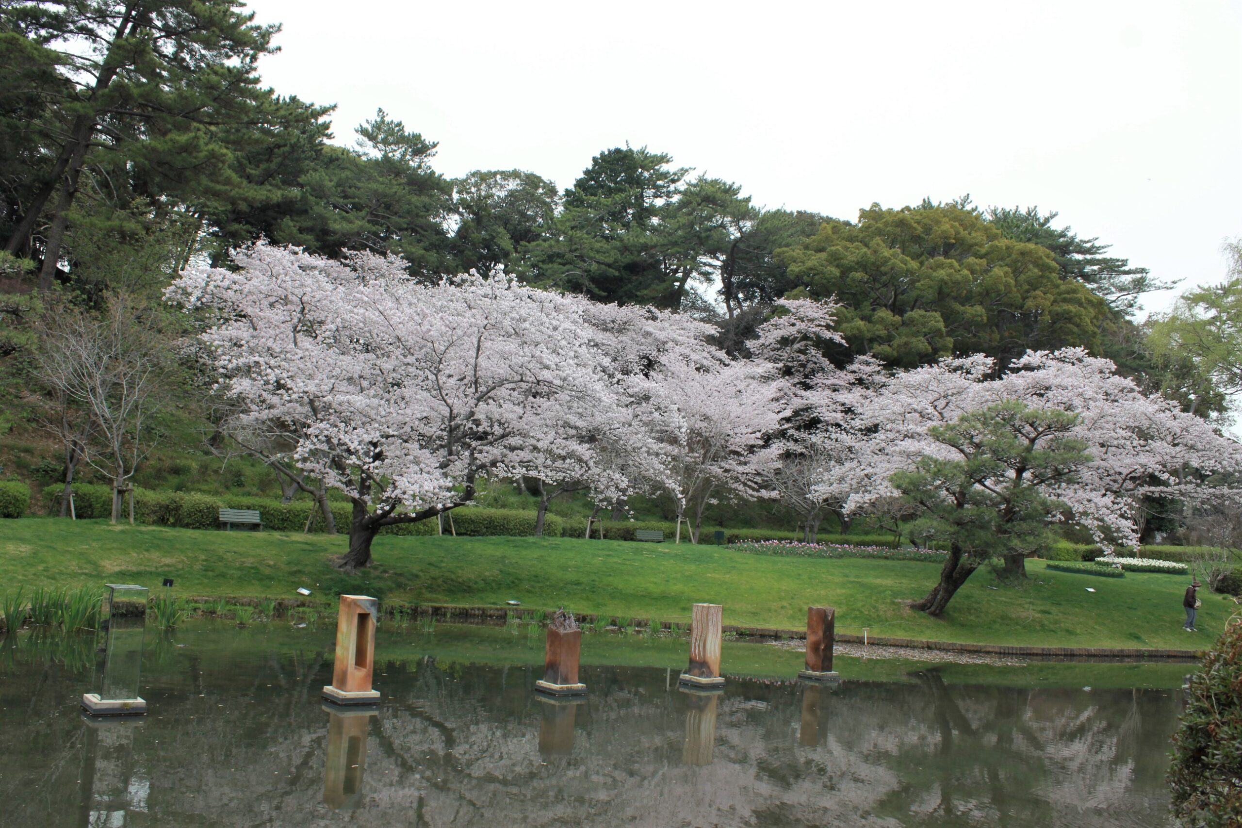20220329toku2｜スタッフブログ｜はままつフラワーパーク【公式サイト】