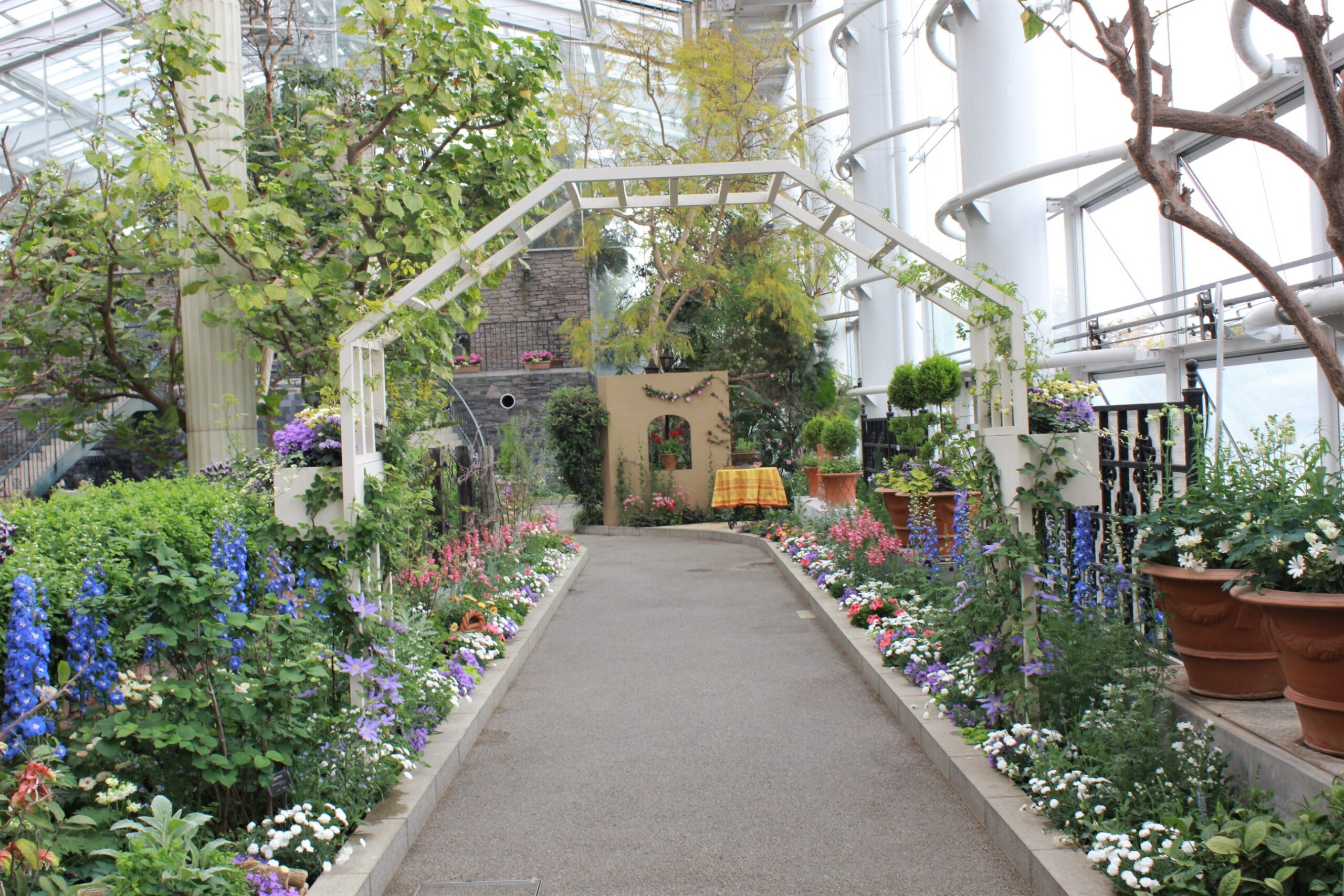 20220329toku6｜スタッフブログ｜はままつフラワーパーク【公式サイト】