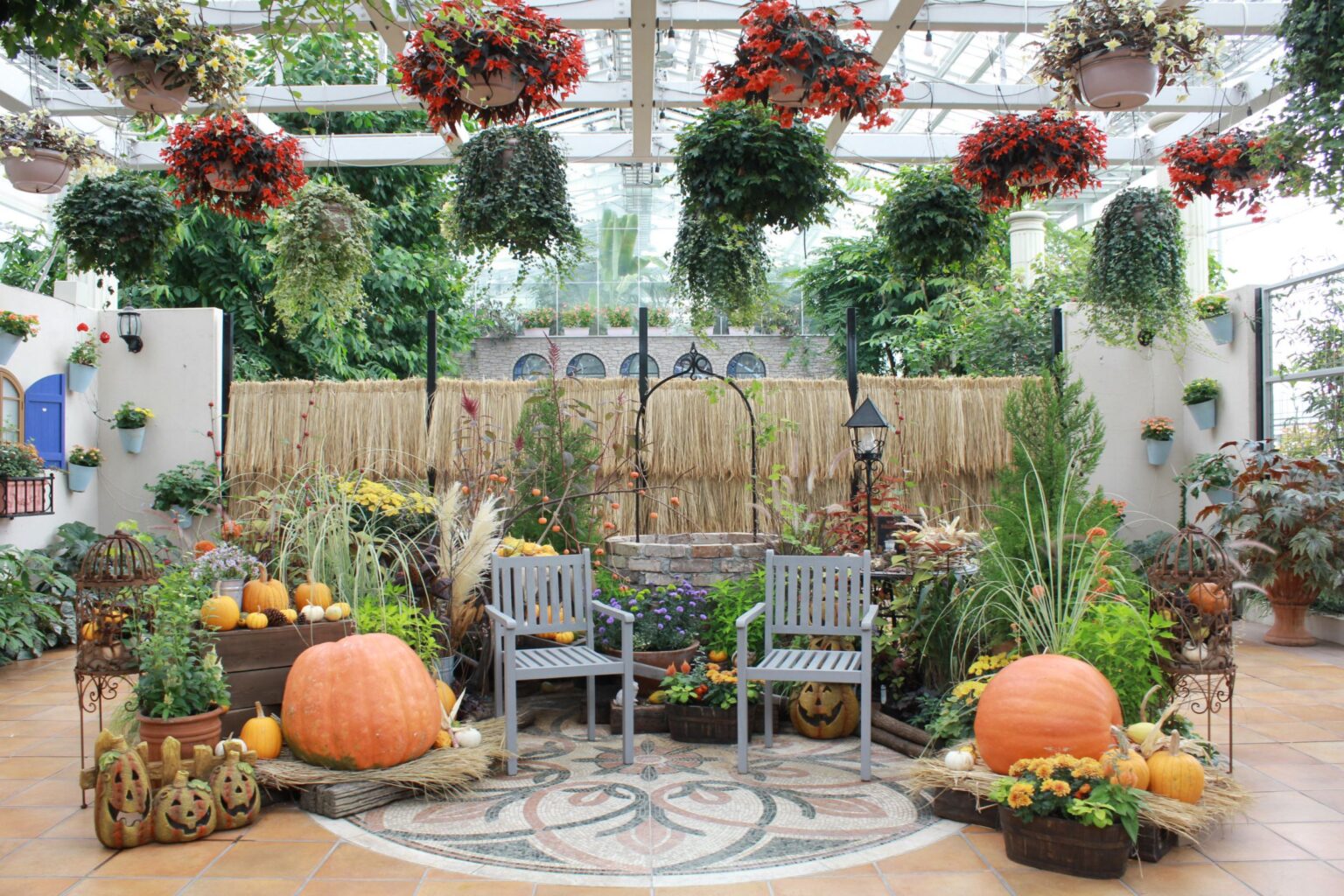 大温室の風景｜スタッフブログ｜はままつフラワーパーク【公式サイト】